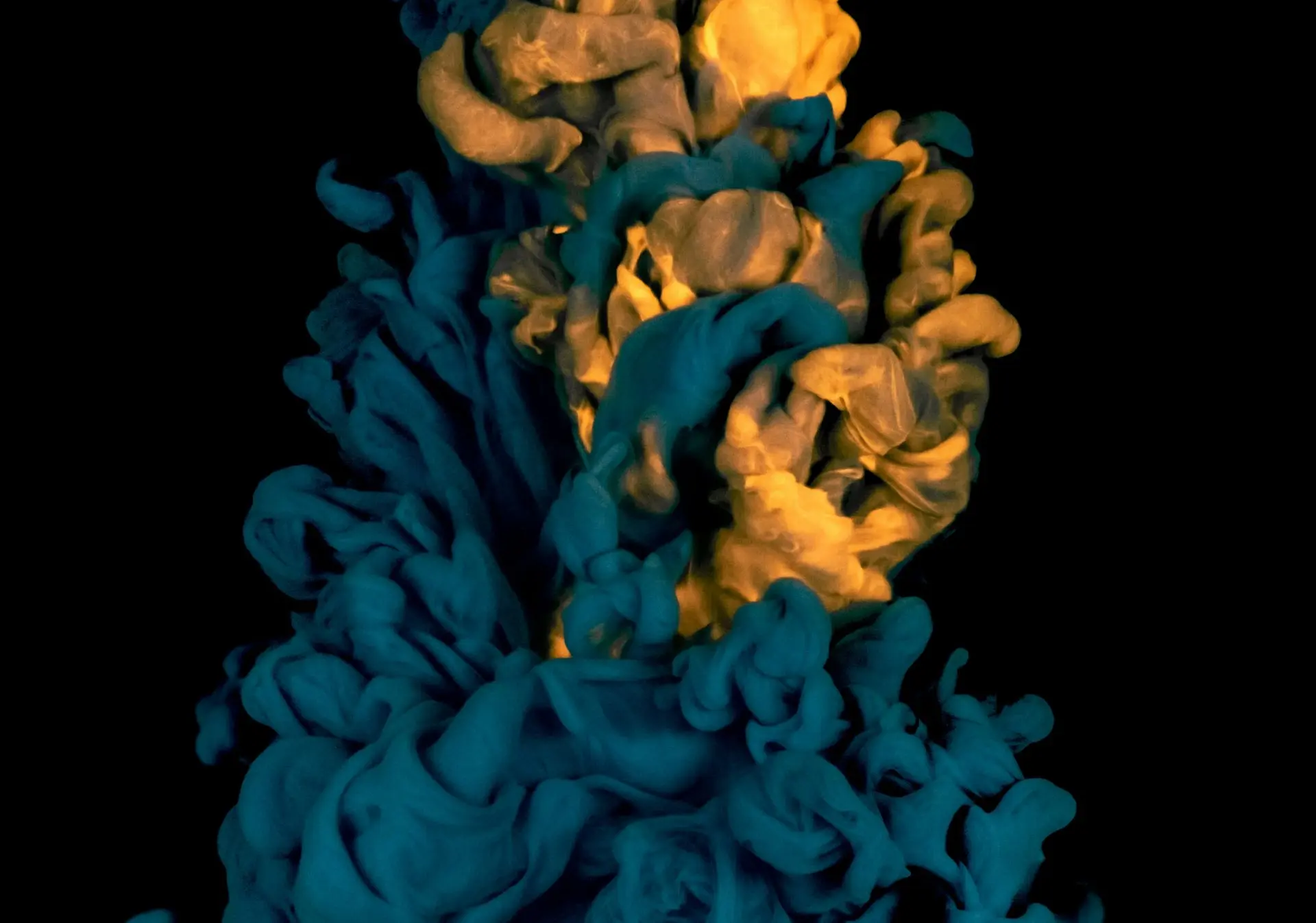 How Are Antibodies Made? From B Cells to Immune Protection